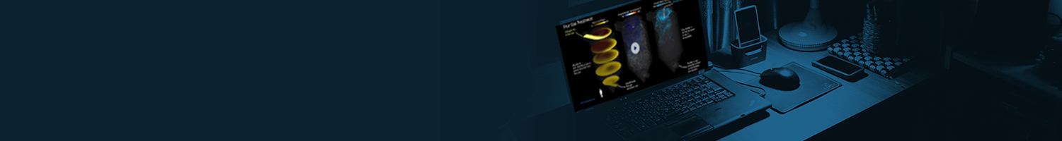 Simulation Videos CPFD Software